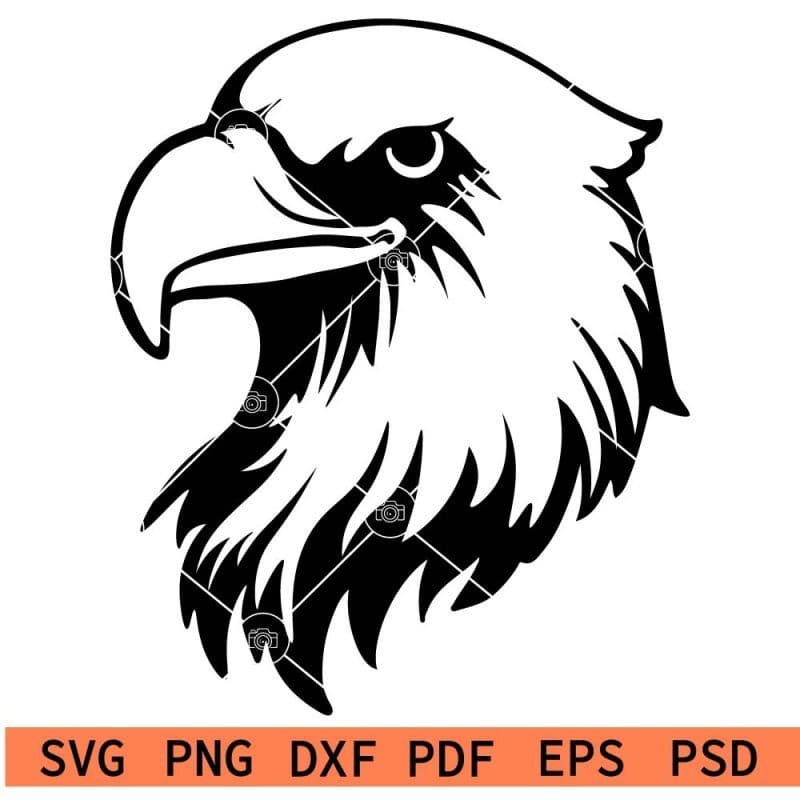 Eagle head SVG, American Eagle SVG, Eagle Bird SVG