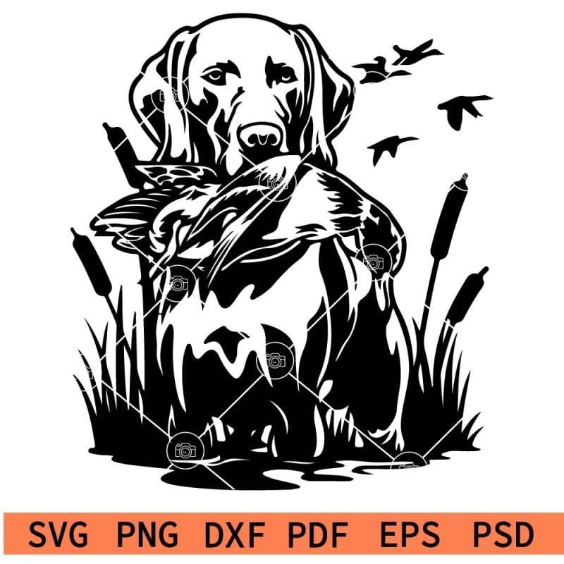 Dog Hunting duck in a swamp SVG, Hunting dog stencil svg