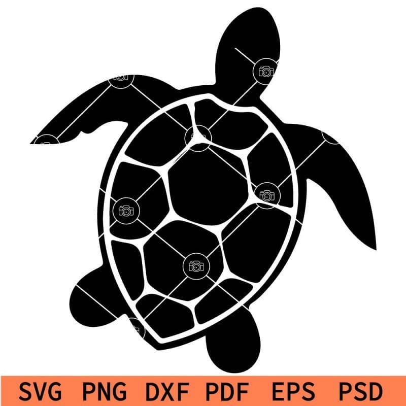 Turtle svg, Turtle Vector svg, Sea Turtle SVG