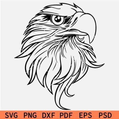 Eagle Head Outline SVG, Eagle Head Vector SVG, Eagle Sketch SVG