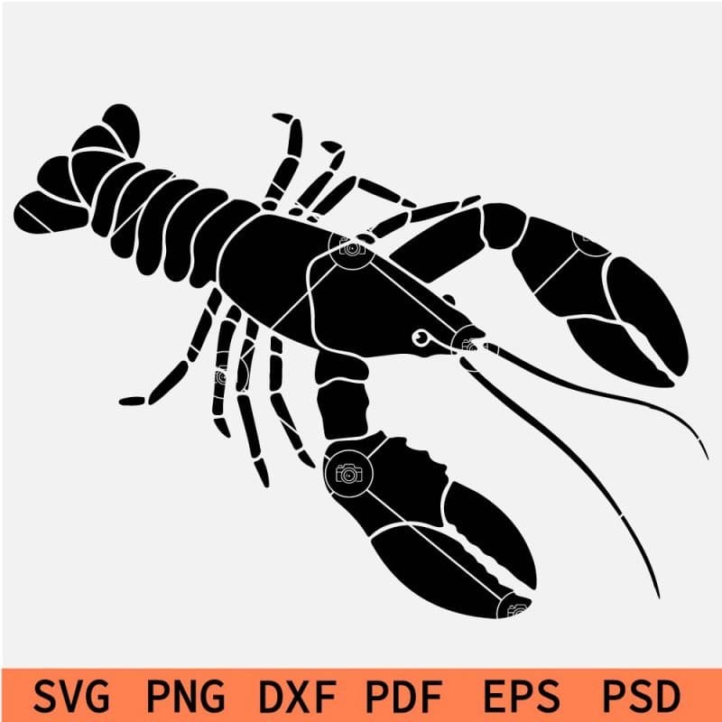 Crustacean Core svg, Lobster Vector SVG, Lobster Silhouette, Crayfish ...