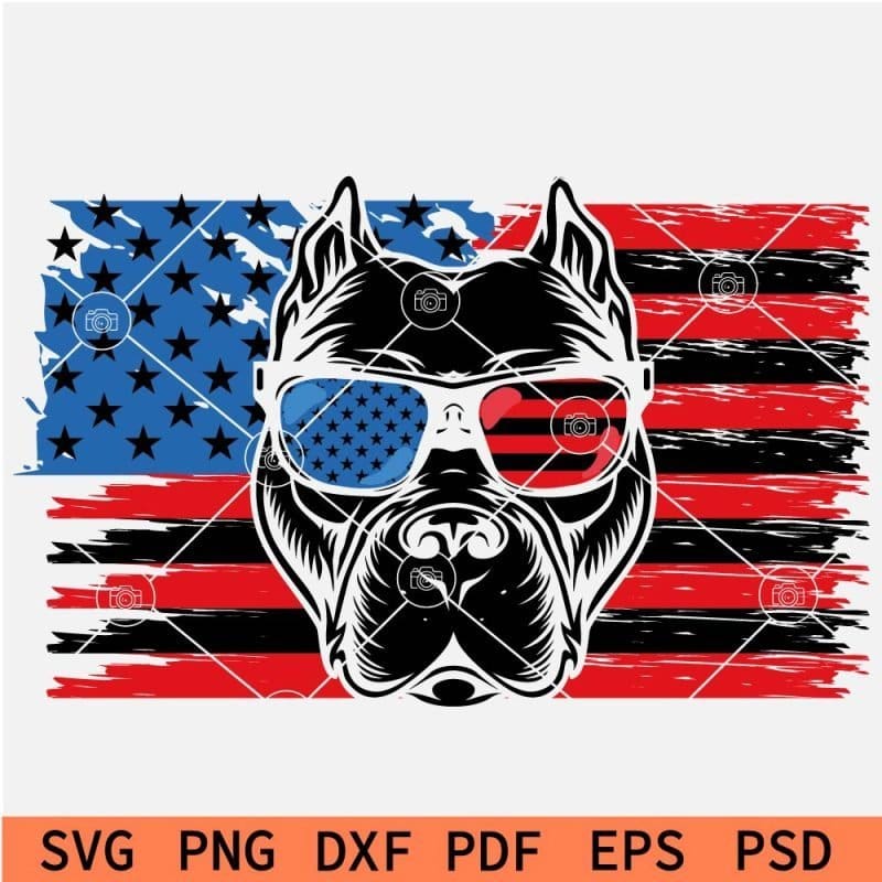 Patriotic Pit Bull Dog Head in US Flag SVG, 4th of July 1776 Memorial ...