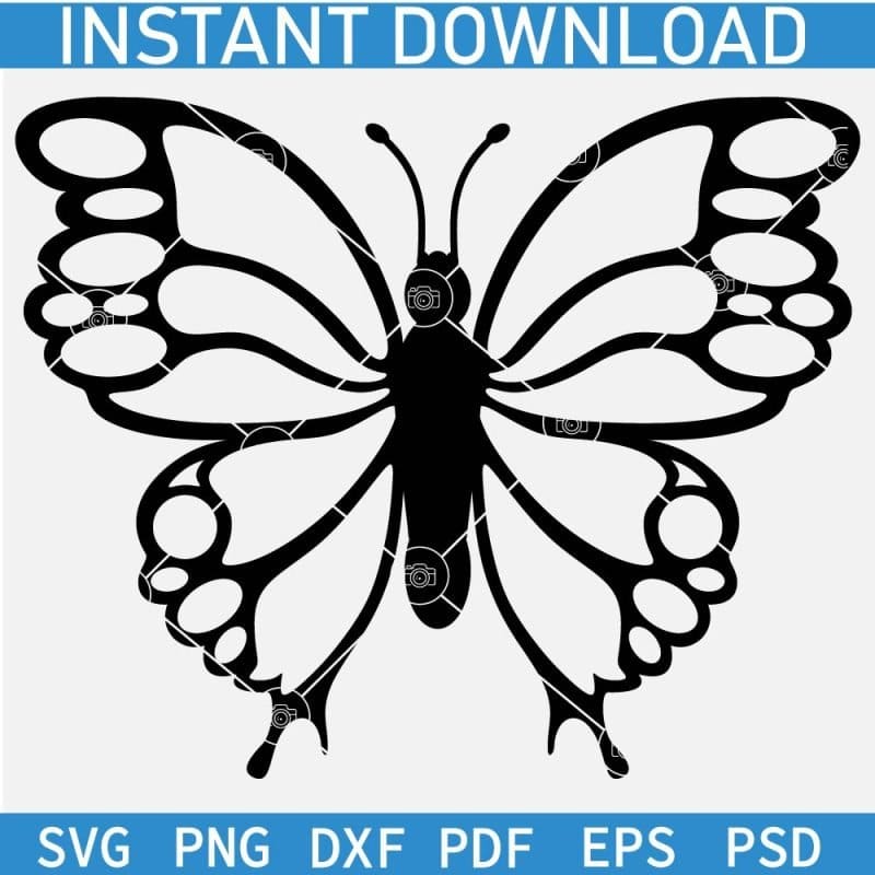 Butterfly spreading wings SVG, Butterfly Vector SVG, Butterfly Icon SVG