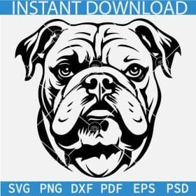 Bulldog Head SVG File, Bulldog Face Vector Images, Bulldog Breed Clipart
