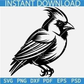 Cardinal Bird Vector SVG File, Cardinal Vector Images, Cardinal Bird ...
