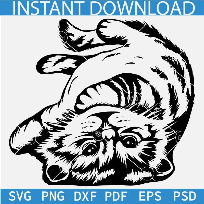 Cat Lying on the back vector, Cute Cat Transparent Background SVG