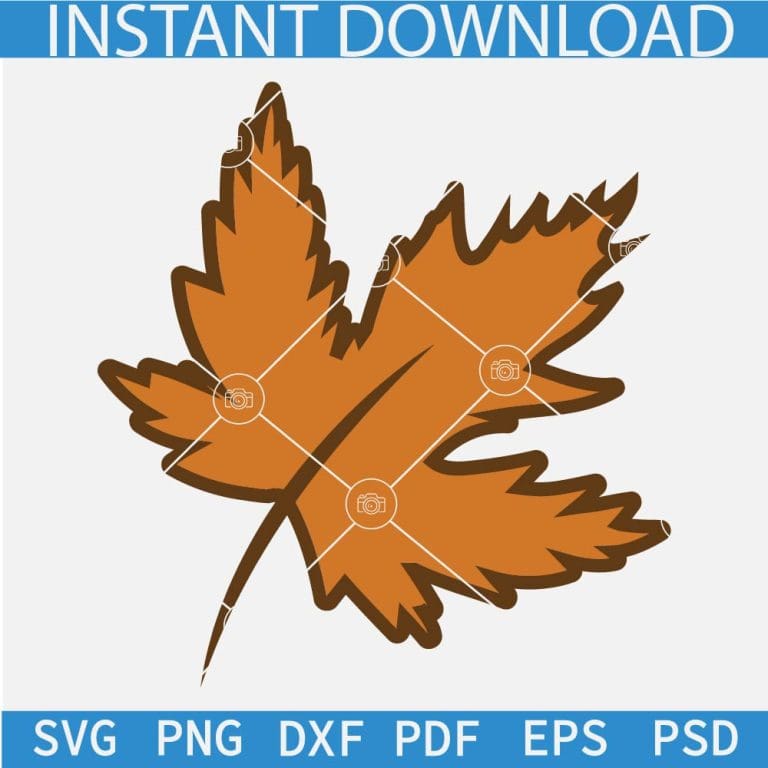 Fall Leaves Svg, Autumn leaves svg, Fall leaves bundle SVG
