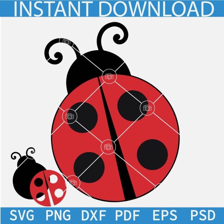 Ladybug Layered SVG, Cartoon Lady Bug SVG, Lady Bug Clip Art Vector ...