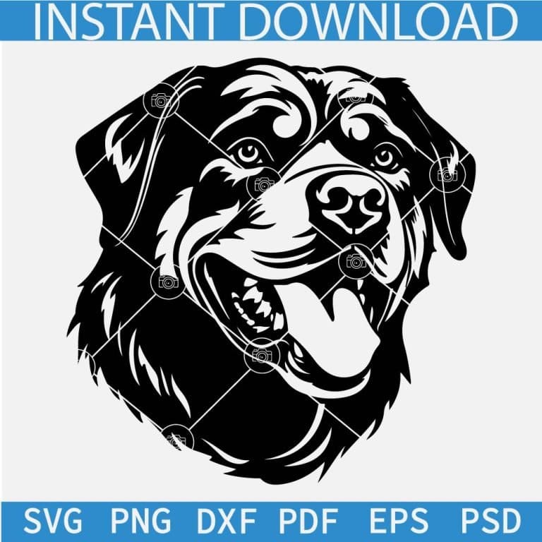 Rottweiler Dog Head Tongue Out SVG, Rottweiler Head Vector Image ...