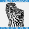 Peeking eagle SVG, Eagle Silhouette SVG, American Bird Peeking SVG