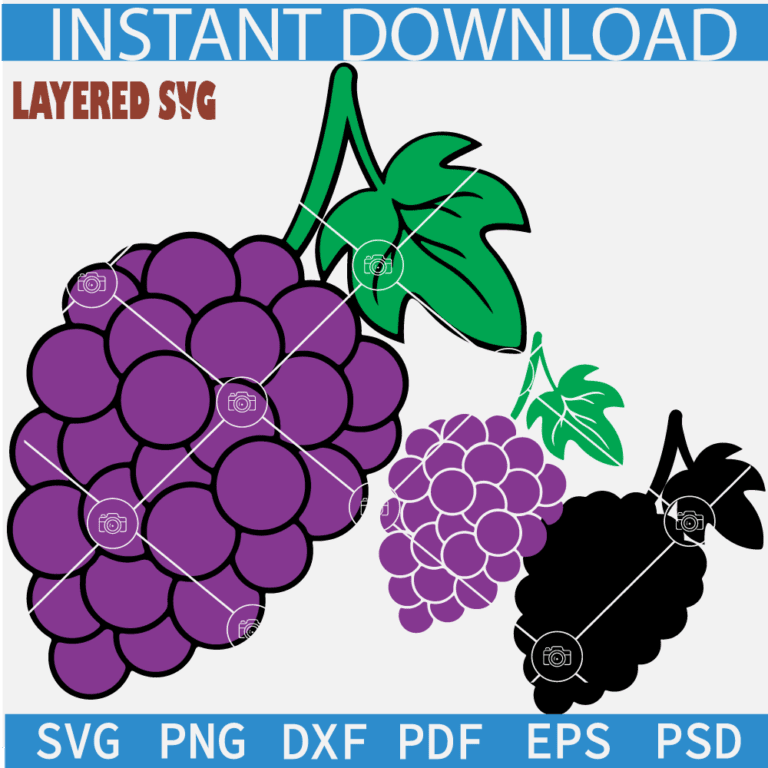 Grapes layered SVG, Grape fruits SVG