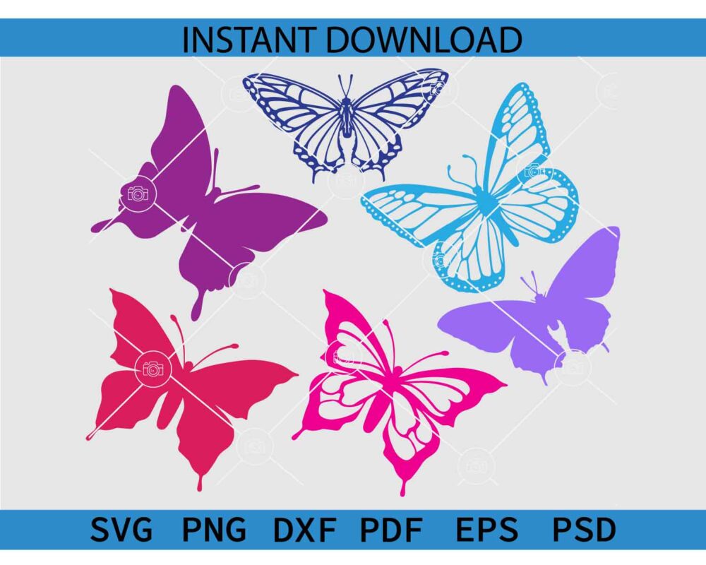 Colored Butterflies Stickers SVG, Butterfly group Sticker SVG